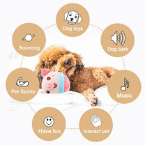 Active Moving Pet Plush Toy – Zentric Store